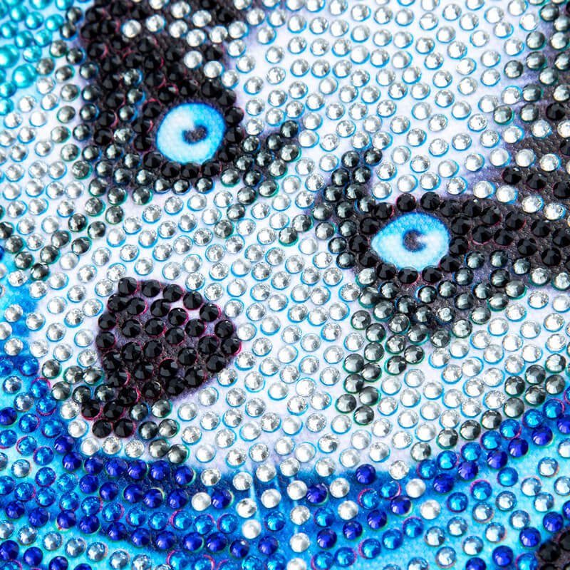 Kit Diamond Painting 5D avec Design de Husky et Cadre Photo – Figured'Art